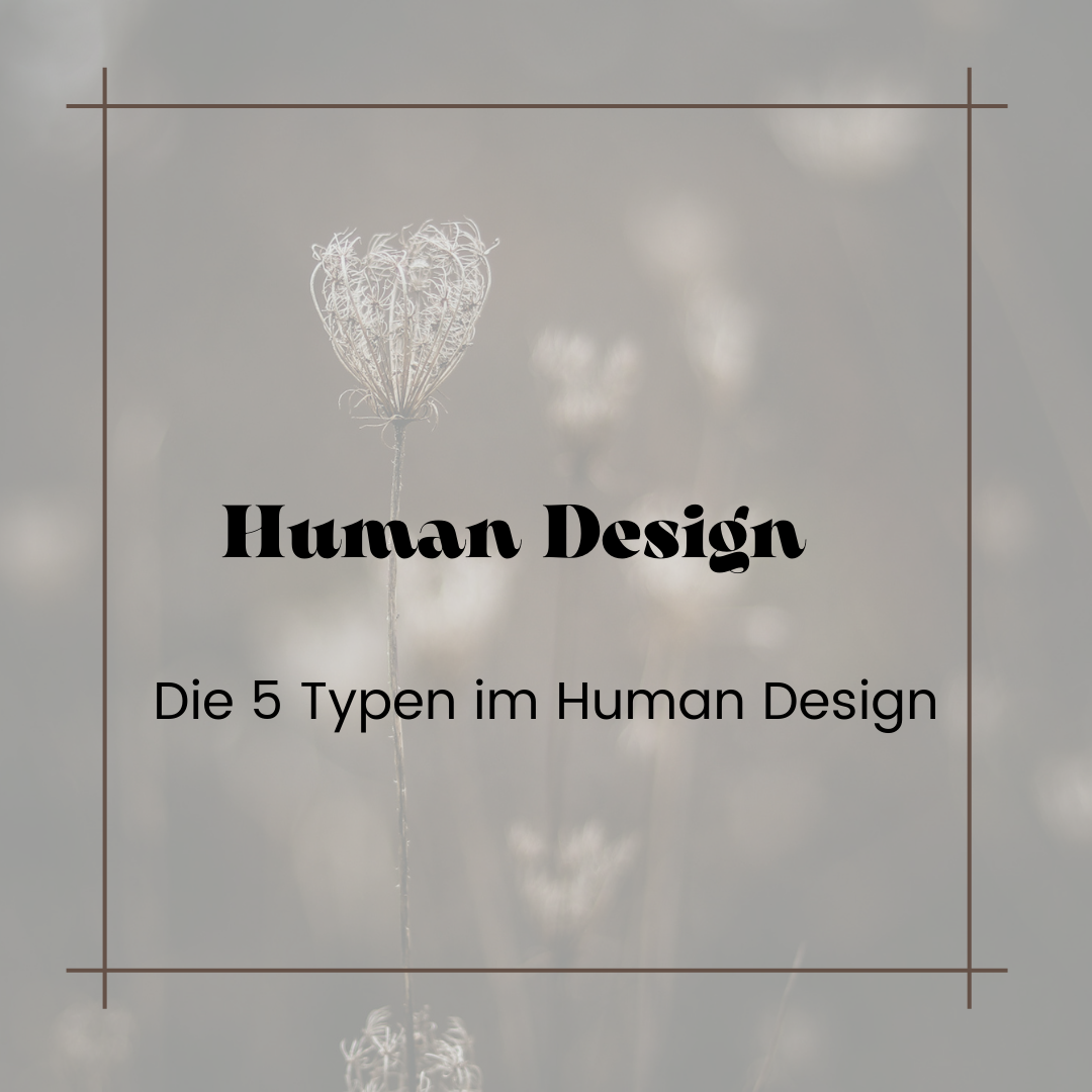 Human Design Basics – die 5 Typen – Reisechronistin