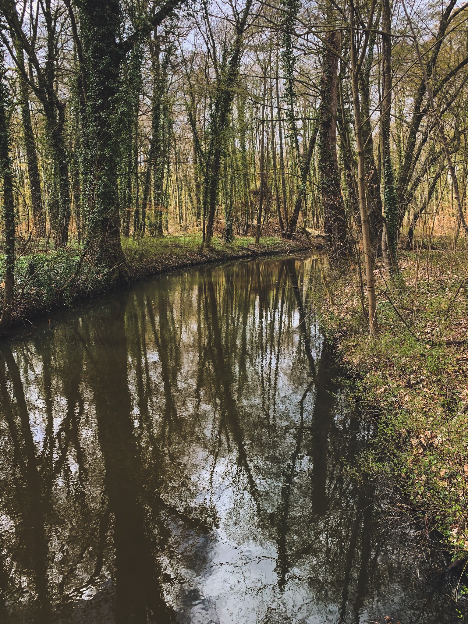 Lübben im Spreewald – Die schönsten Ausflugsziele in Lübben – Walk ...
